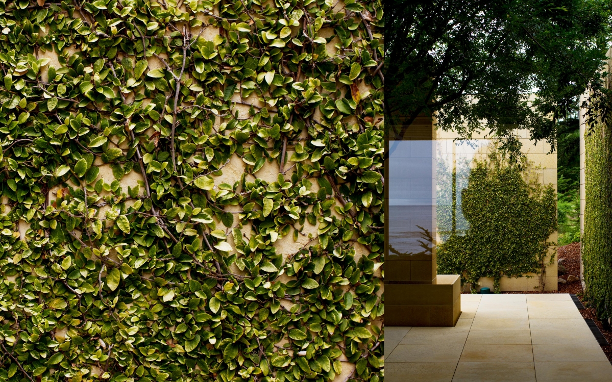 Van Acker - Landscape