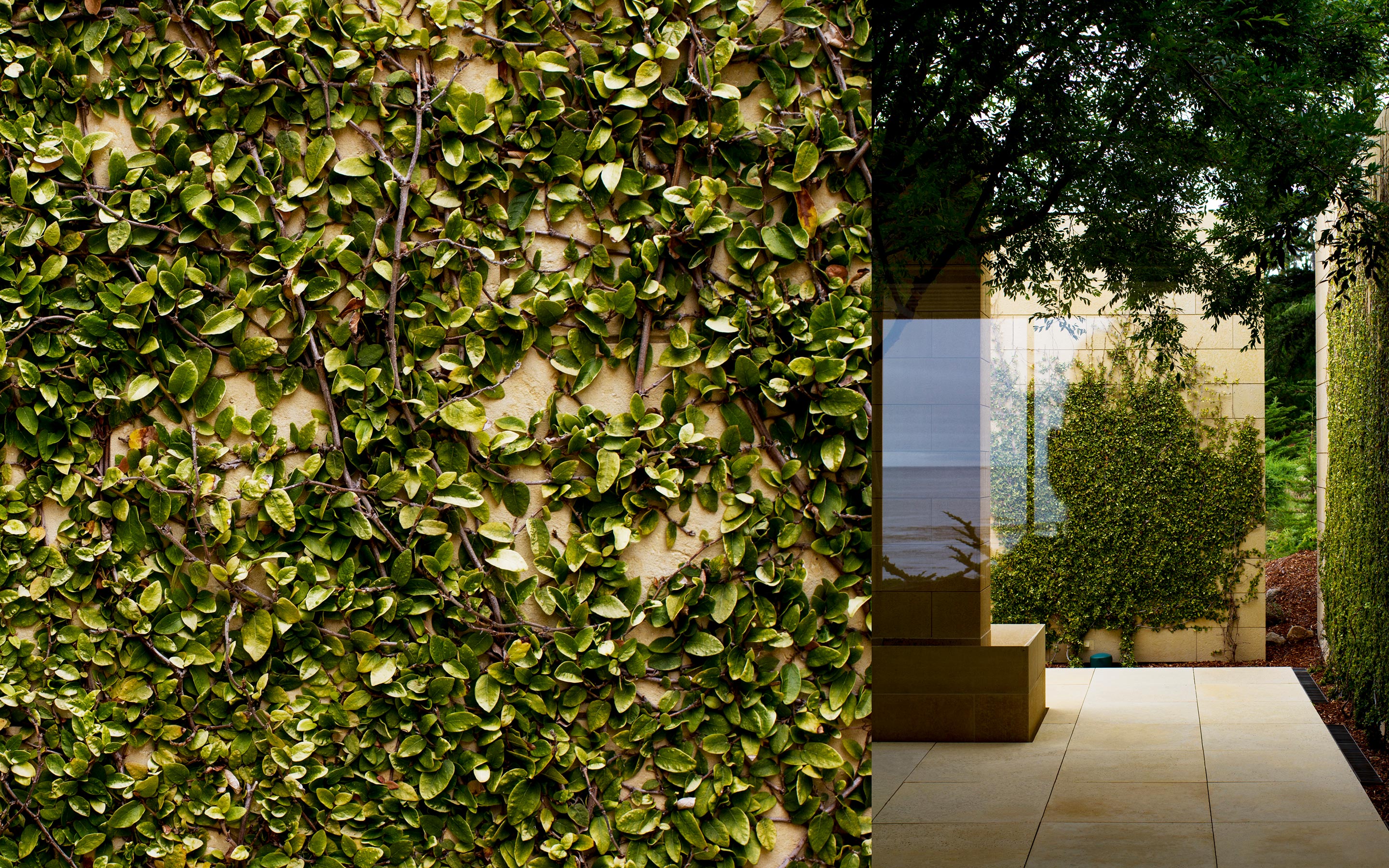 Van Acker - Landscape